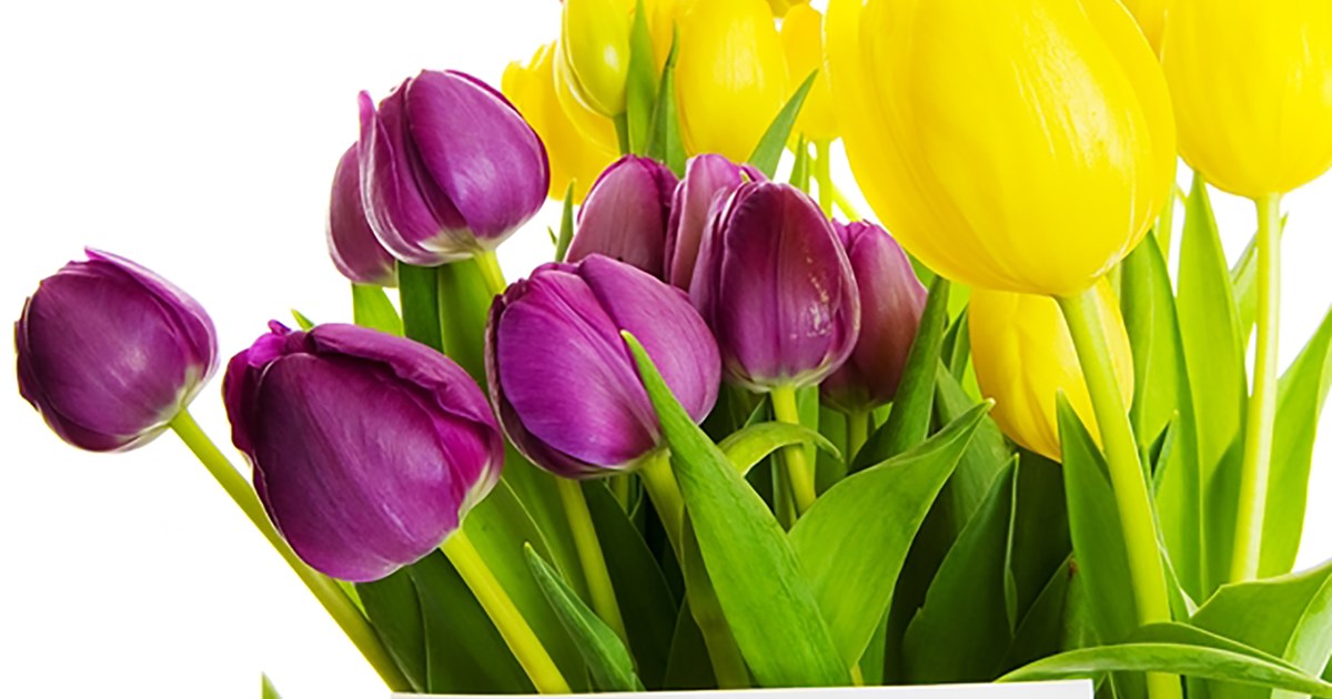 Stort tack | Godisboxen.se