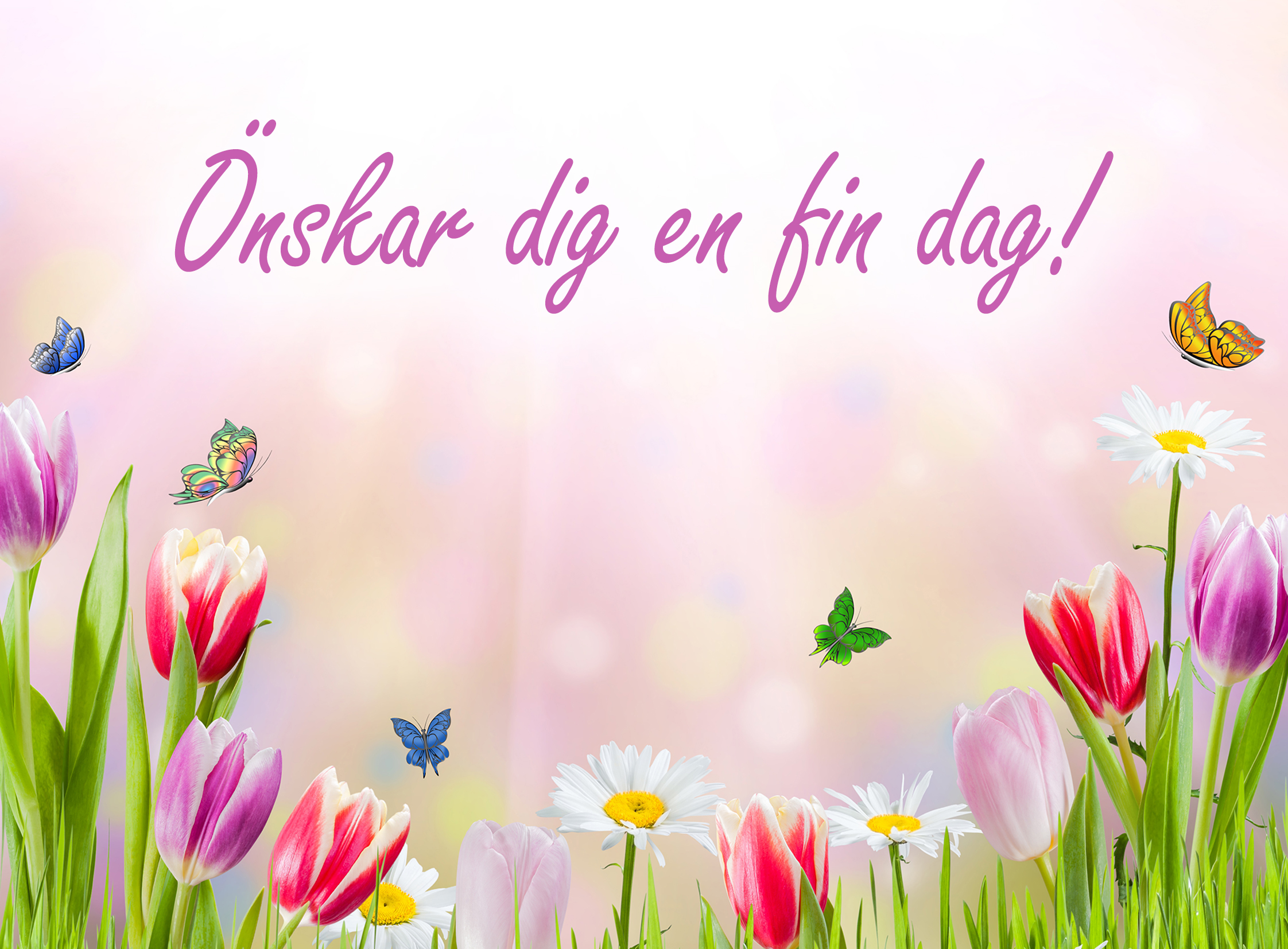 Födelsedagsmotiv | Godisboxen.se